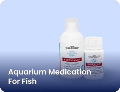 Aquarium Medication For Fish – Nano Tanks Australia Aquarium Shop