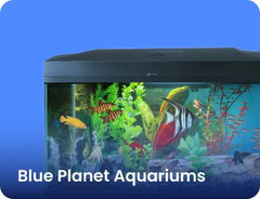 Blue Planet Aquariums – Nano Tanks Australia