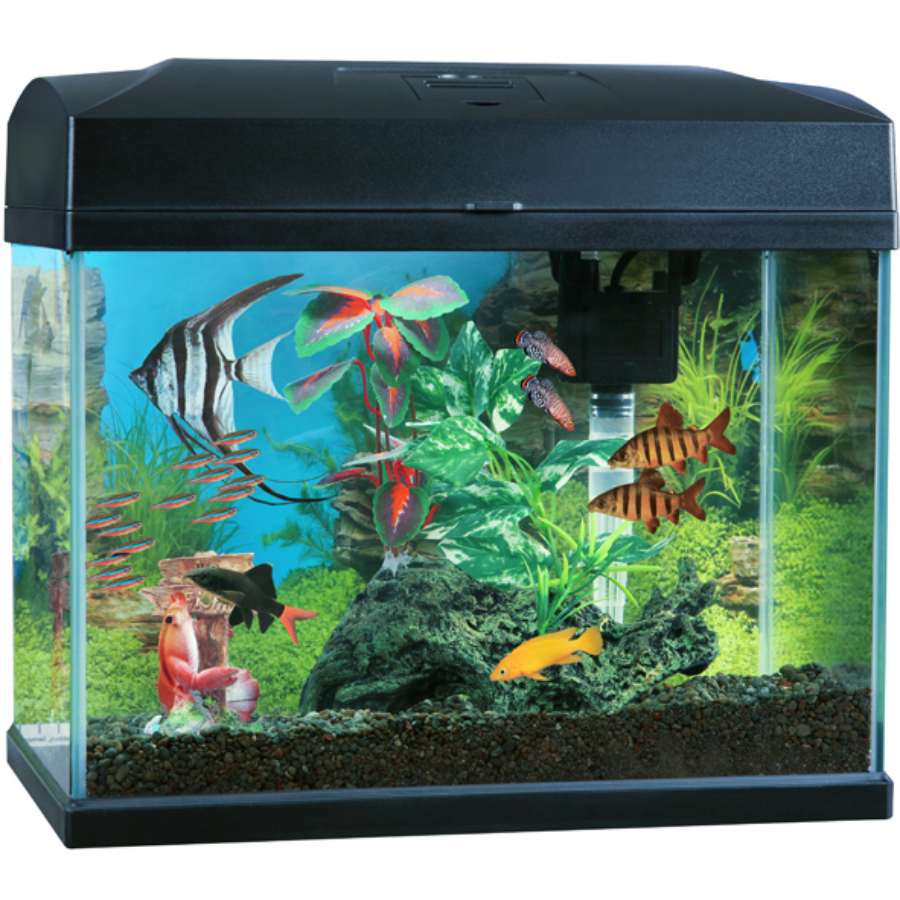 Blue Planet Classic Aquarium 20L – Nano Tanks Australia